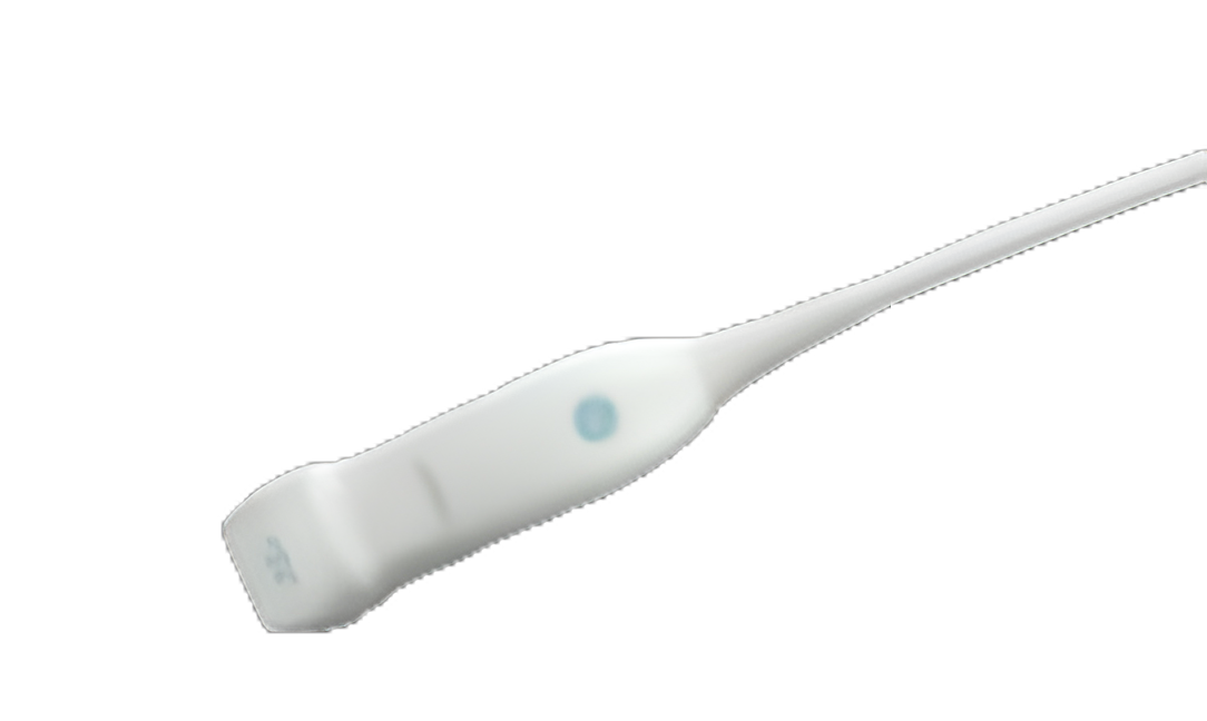 Ultrasound Probe Versana Abdominal, Adult Cardiac, Adult Cephalic ...