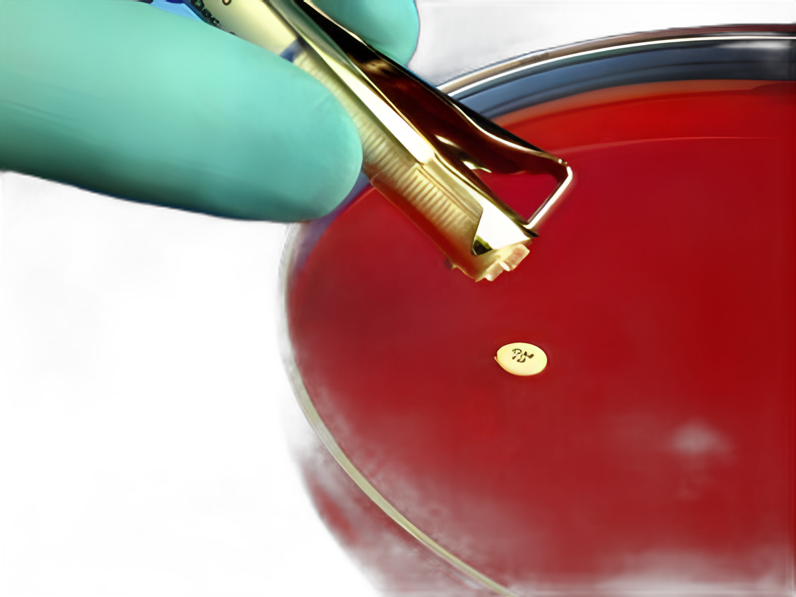 HardyDisks™ Cephalothin 30 µg Antimicrobial Susceptibility Testing ...