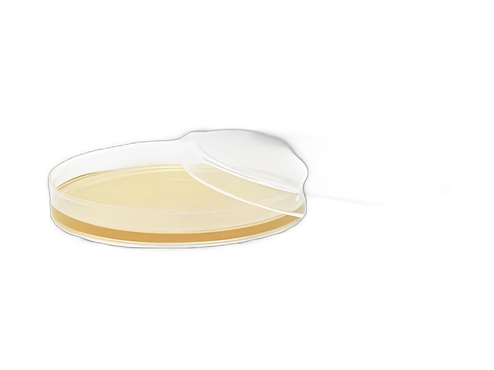 TSA Plates with Lecithin & Tween - Hardy Diagnostics