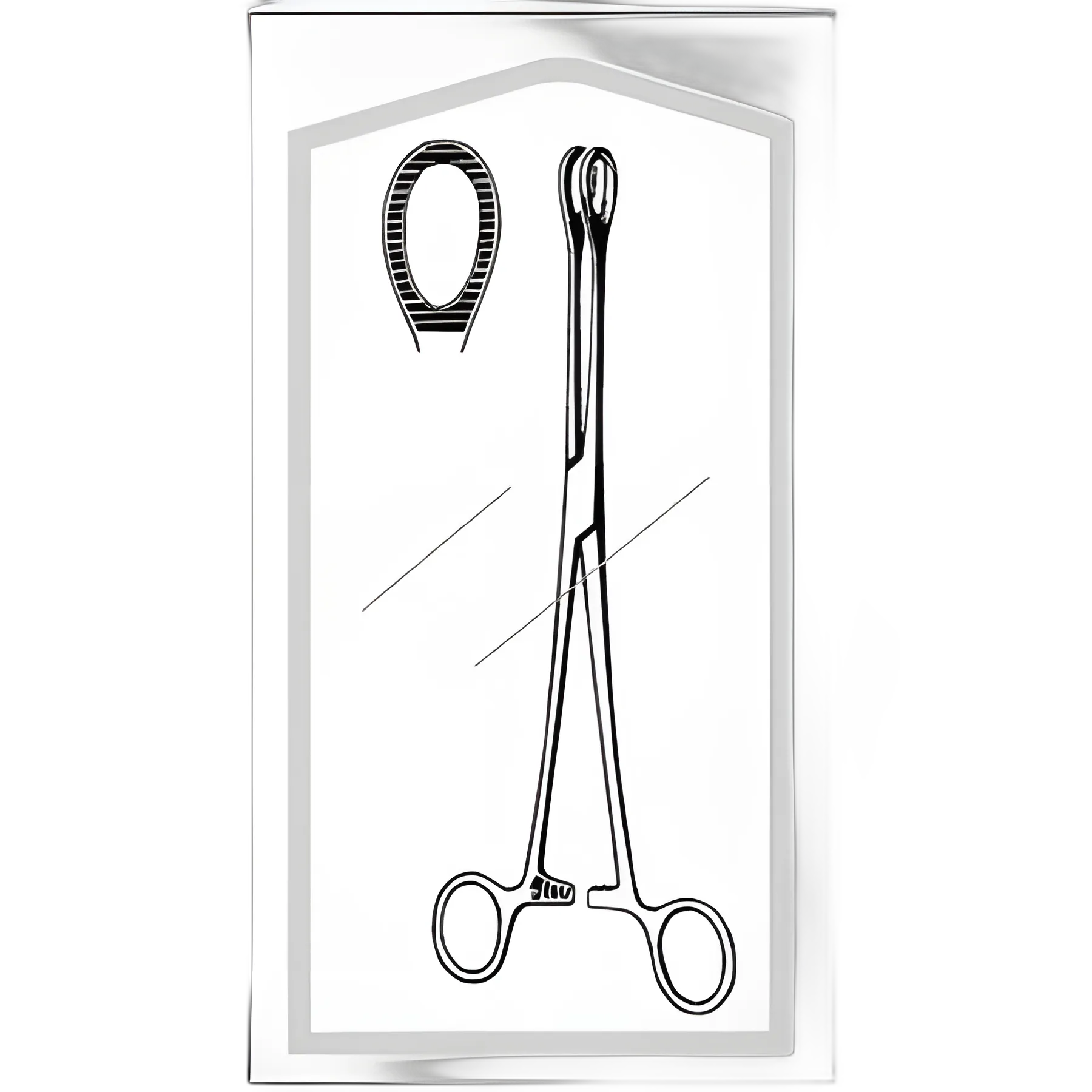Sponge Forceps Econo™ Foerster-Ballenger 9-1/2 Inch Length Floor Grade ...